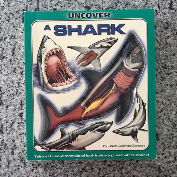 Other | Uncover A Shark 3d Book | Poshmark